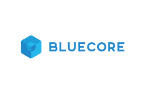 Bluecore – The Hive Network