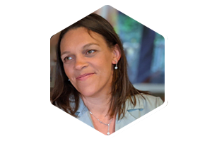 The Hive Network - The Hive Network